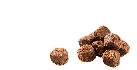 High-quality pet food for cats and dogs | animonda